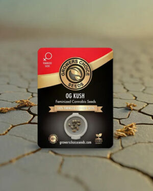 Premium OG Kush Cannabis Seeds