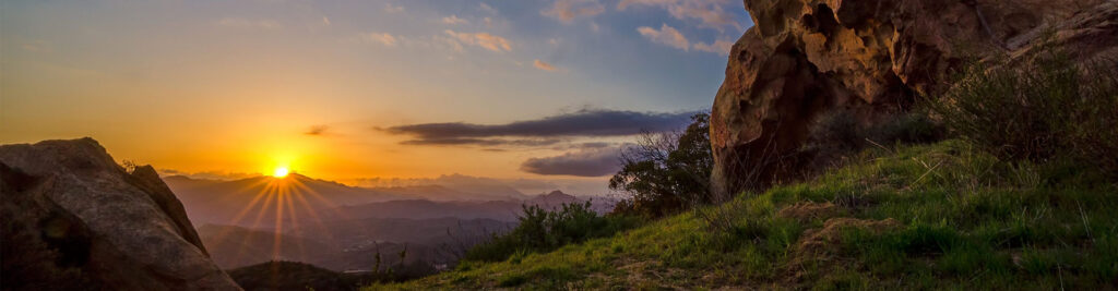 Growers Choice Seeds | Buy Cannabis Seeds Online