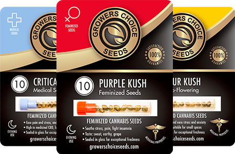 Cannabis Seeds California - Growers Choice Seeds