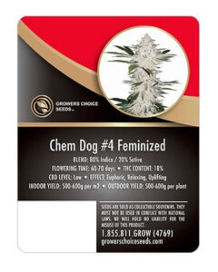 Chemdog #4 Seeds | Growers Choice Seeds