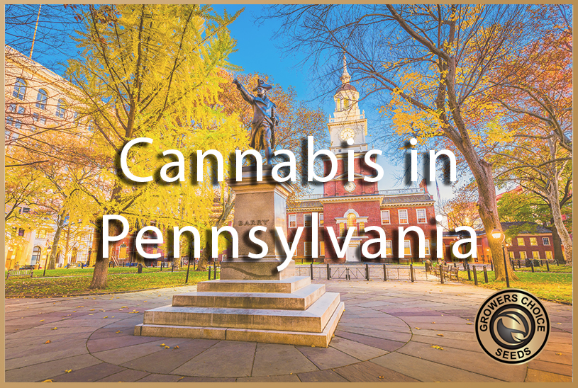 cannabis-in-pennsylvania | Growers Choice Seeds