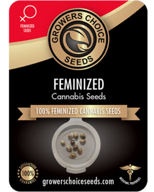 Acapulco Gold Cannabis Seeds | Excellent Quality and Flavor