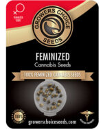 Panama Red Seeds - Premium Feminized Weed Seeds for Sale