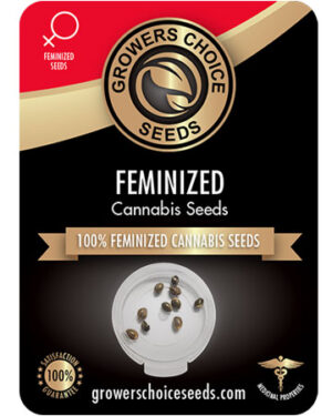 Golden Goat Seeds | Growers Choice Seeds