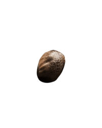 Elite God's Green Crack Auto Cannabis Seeds