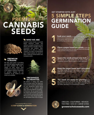 Cannabis Seed Germination Guide - Growers Choice Seeds