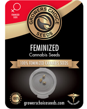 High-Potency Blue God Strain Cannabis Seeds
