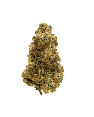 Premium Strawberry Cheesecake Cannabis Seeds