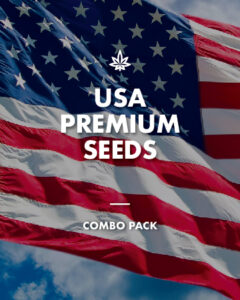 Superior-Quality Platinum Lemon Cherry Gelato Cannabis Seeds