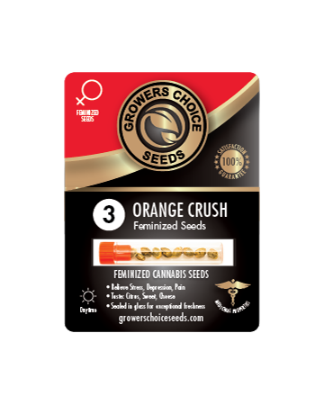 Buy Orange Crush Feminized Seeds | Growers Choice Seeds