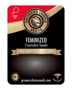 Alien OG Seeds | Growers Choice Seeds