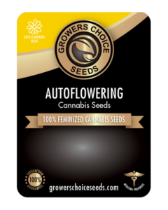 Triangle Kush Autoflower Seeds | Growers Choice Seeds