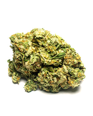 Finest Mimosa Auto Cannabis Seeds