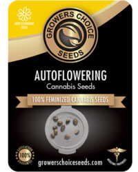 Mac 1 Autoflower Seeds | Growers Choice Seeds