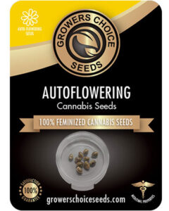 Pinkman Goo Autoflower Seeds | Growers Choice Seeds