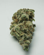 Jealousy Cannabis Seeds | Growers Choice Seeds